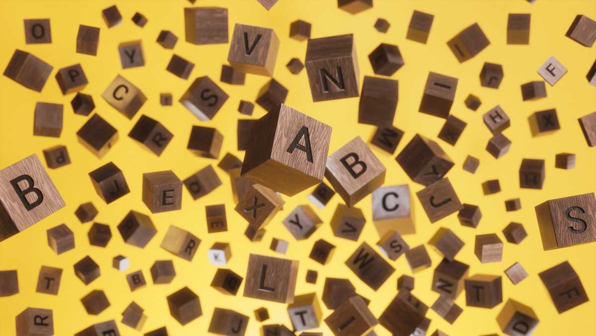 Beekmantown student Leah Rini named Grand Champion in Regional Spelling ...