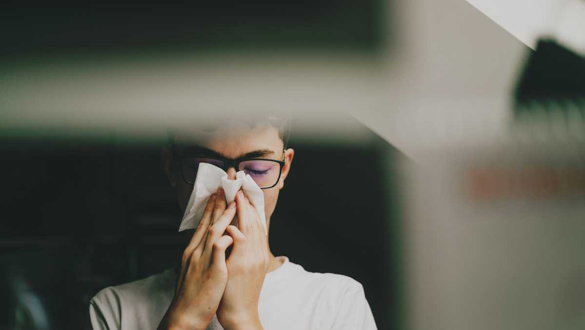 Pittsburgh ranked among the worst US cities allergies