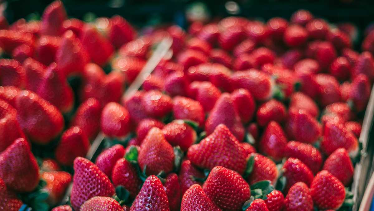Trax Farms, Soergel Orchards cancel strawberry festivals