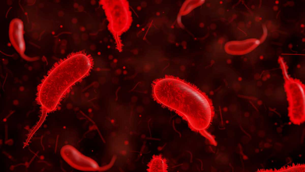 Flesh-eating bacteria cases rise in Florida waters, CDC says