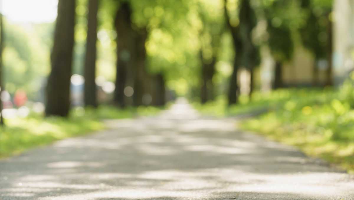 Port St. Lucie's Sidewalk Master Plan in Florida