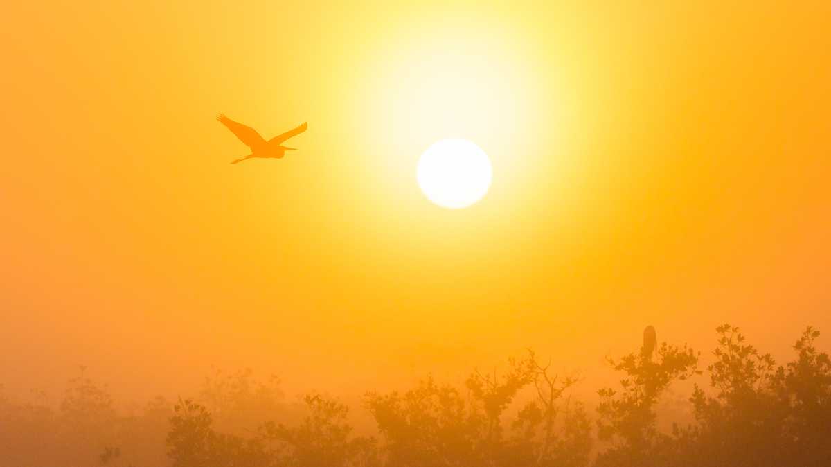 Florida air quality map: Why is it so hazy?