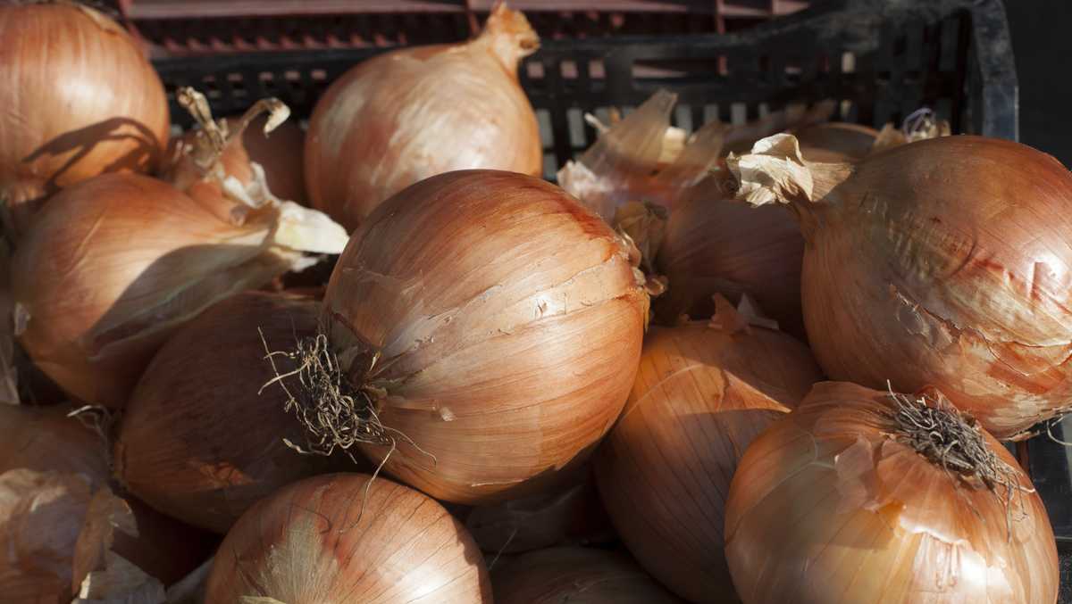 Onions recalled for possible listeria contamination