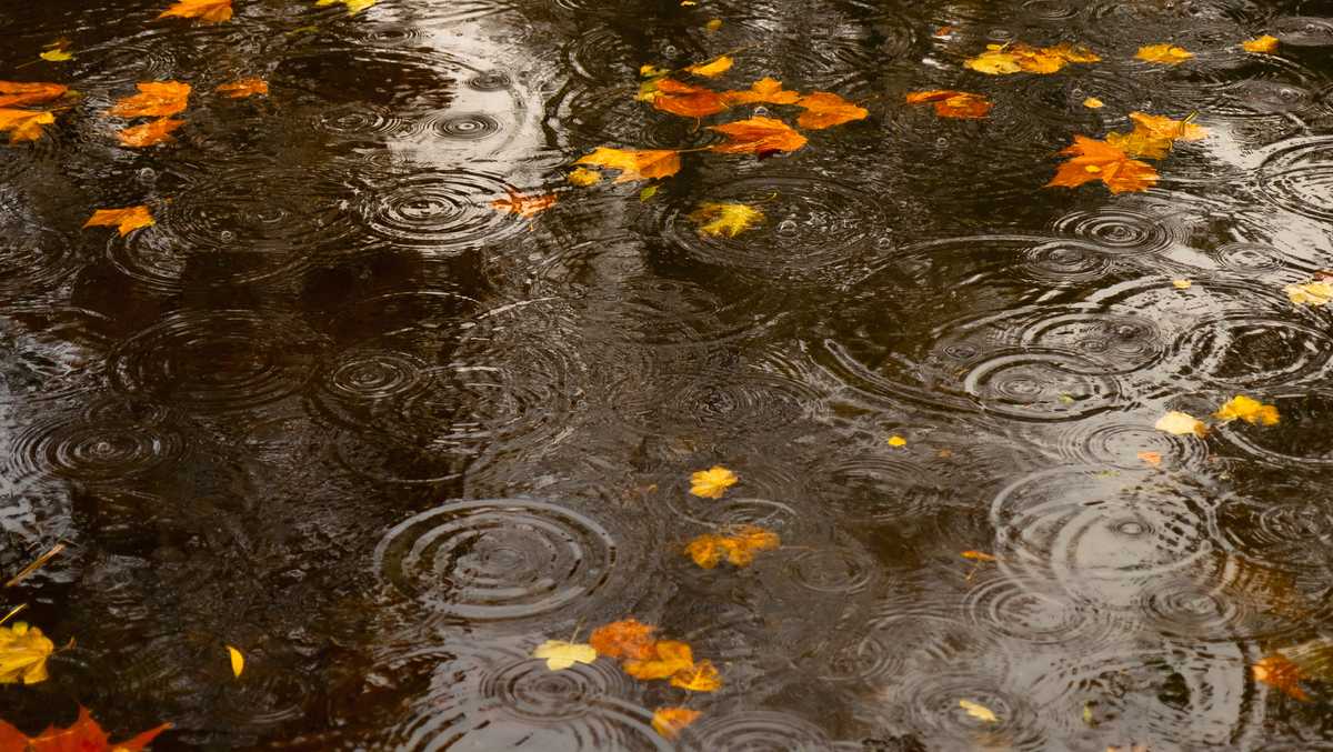 Veterans Day rain beats previous Pittsburgh record