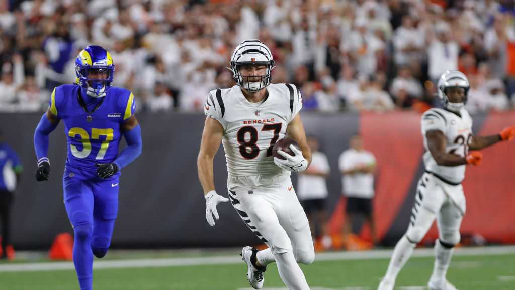 Bengals elevate TE Hudson from practice squad