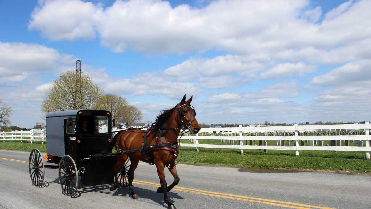 How much of an impact to Amish voters have on Pa. politics
