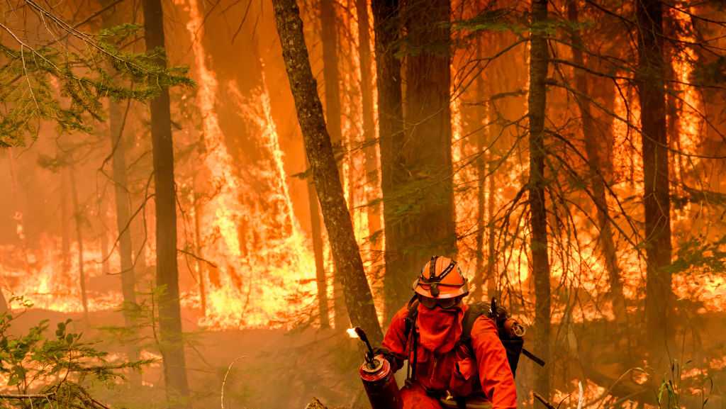 California wildfire chews through timber in very hot, dry weather