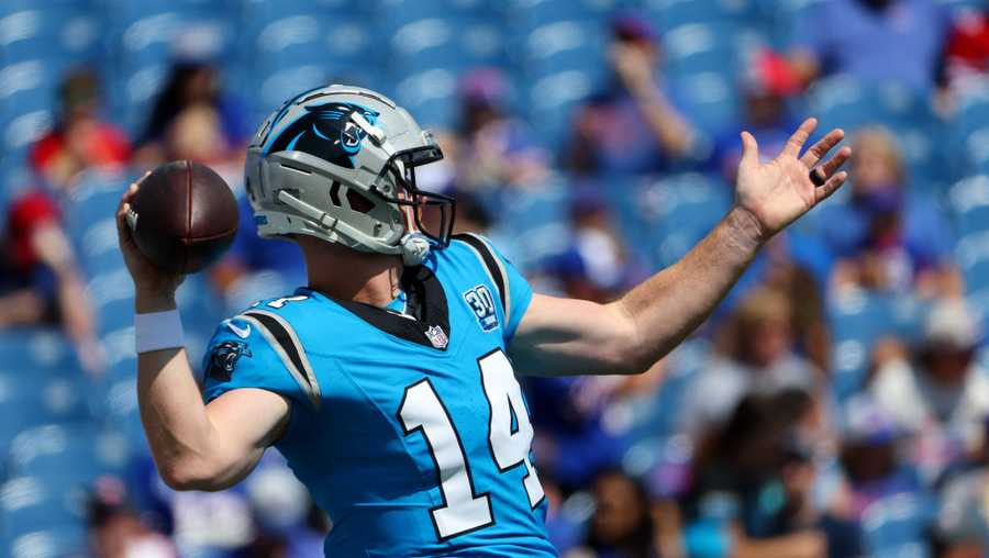 Former Bengal Dalton named starting QB for Panthers, on track to face ...