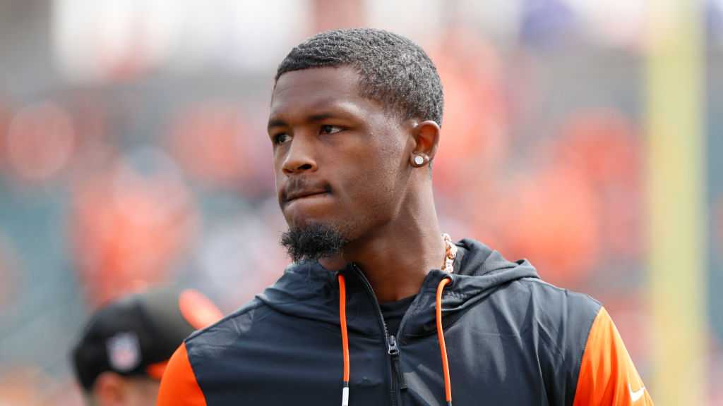 Higgins among several players doubtful to play Sunday as Bengals visit ...