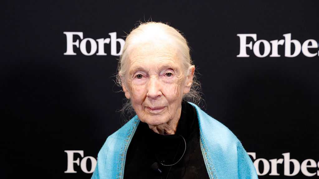 Jane Goodall, conservationist known for chimpanzee research, dies at 91