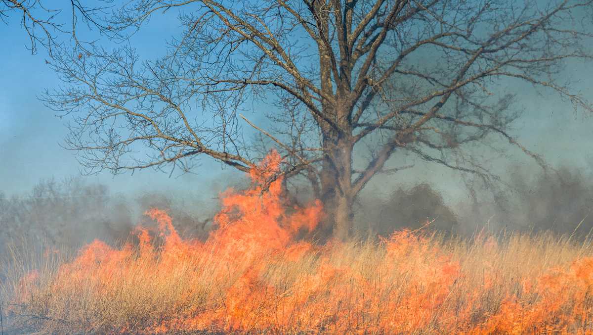 Arkansas Game and Fish prescribed burn classes