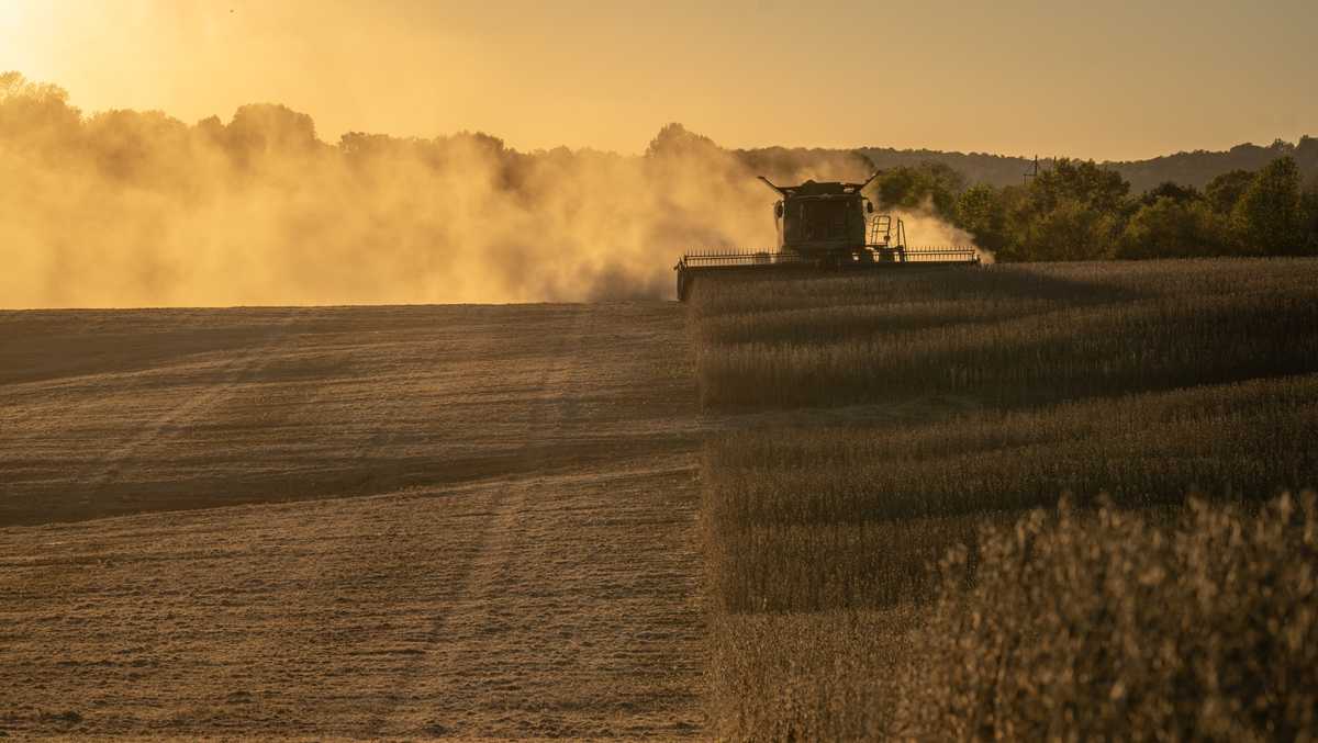 USDA to reopen field offices for farmers starting Thursday