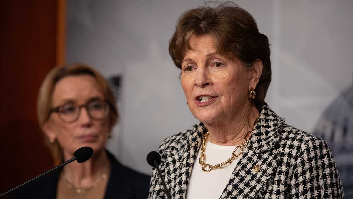 Who are the Democrats voting for the government shutdown deal?