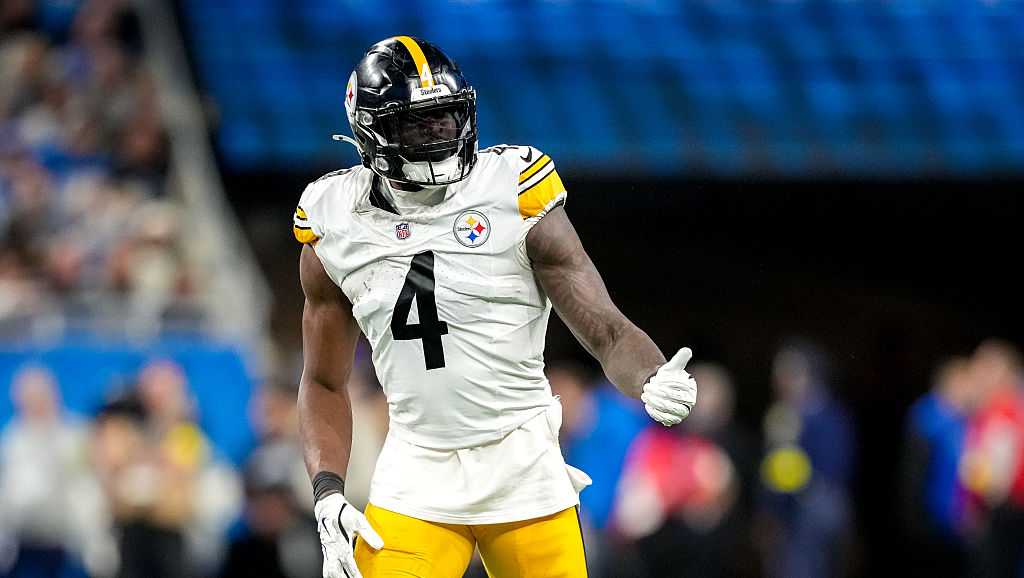 NFL suspends Steelers wide receiver DK Metcalf two games for fan ...