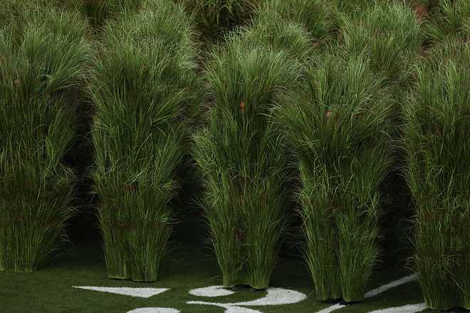 Meet one of the 'grass people' in Bad Bunny's Super Bowl halftime show