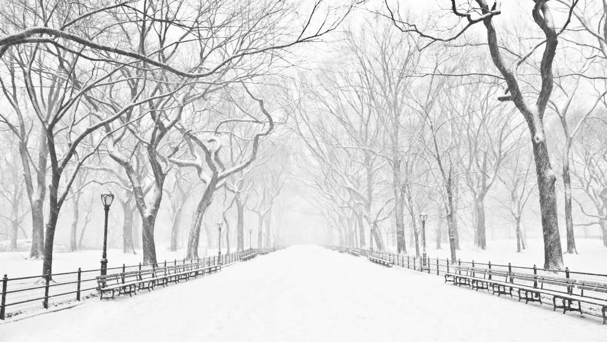 Judge issues temporary restraining order against Old Man Winter Judge issues temporary restraining order against Old Man Winter