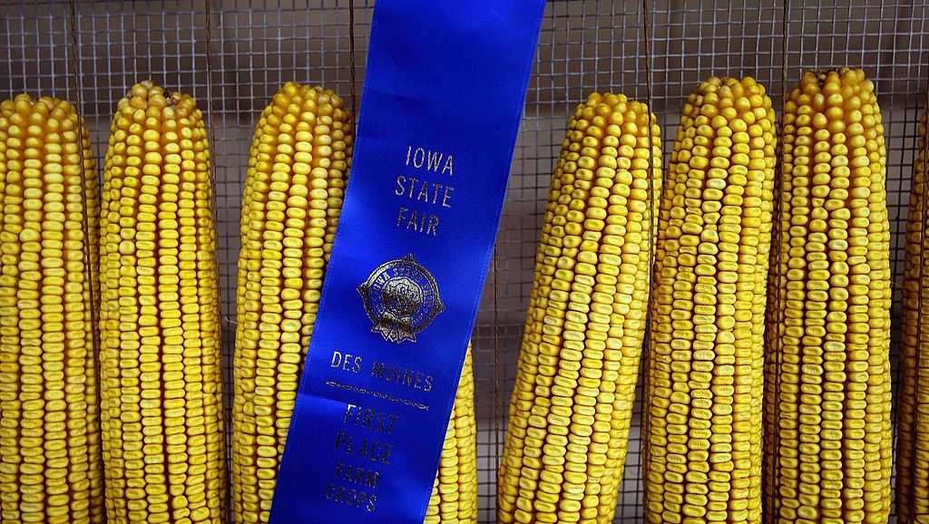 Iowa State Fair: Theme for 2025 fair is sweet