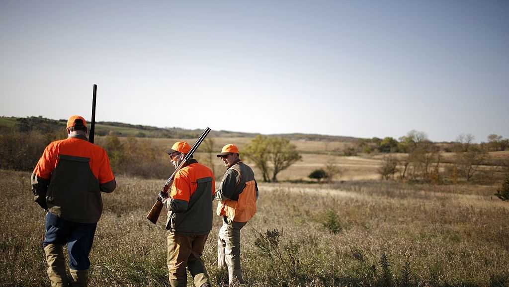 Iowa pheasant hunting: Regular season opens Oct. 26