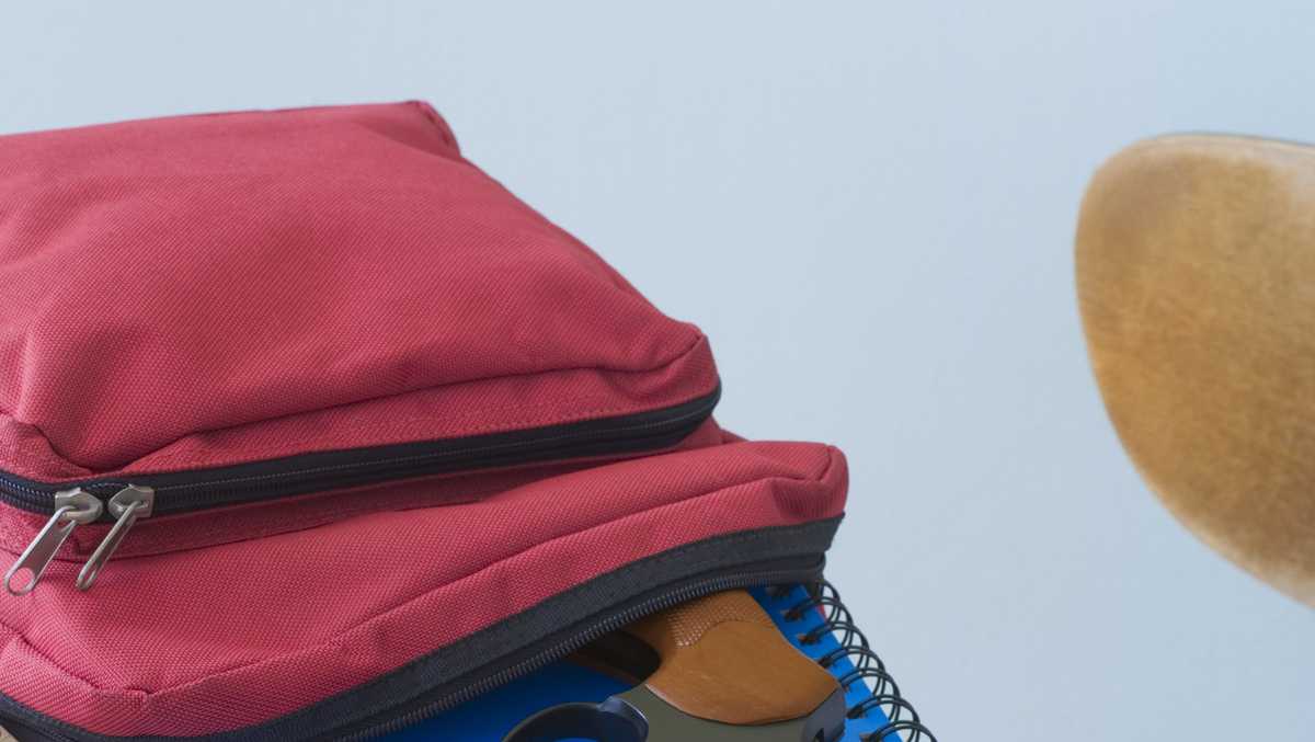 Las Vegas officer charged after 9-year-old son found with gun, bullets ...