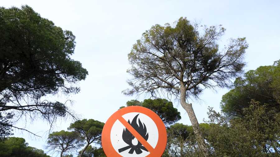 Daniel Boone National Forest issues fire restrictions