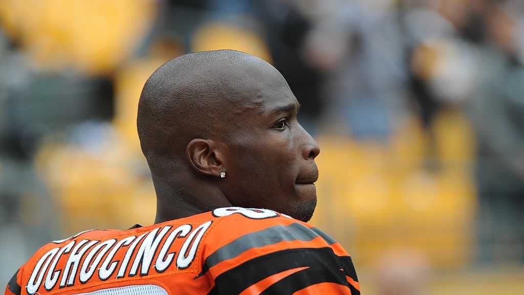 Chad 'Ochocinco' Johnson says he will face former Steelers star in MMA ...