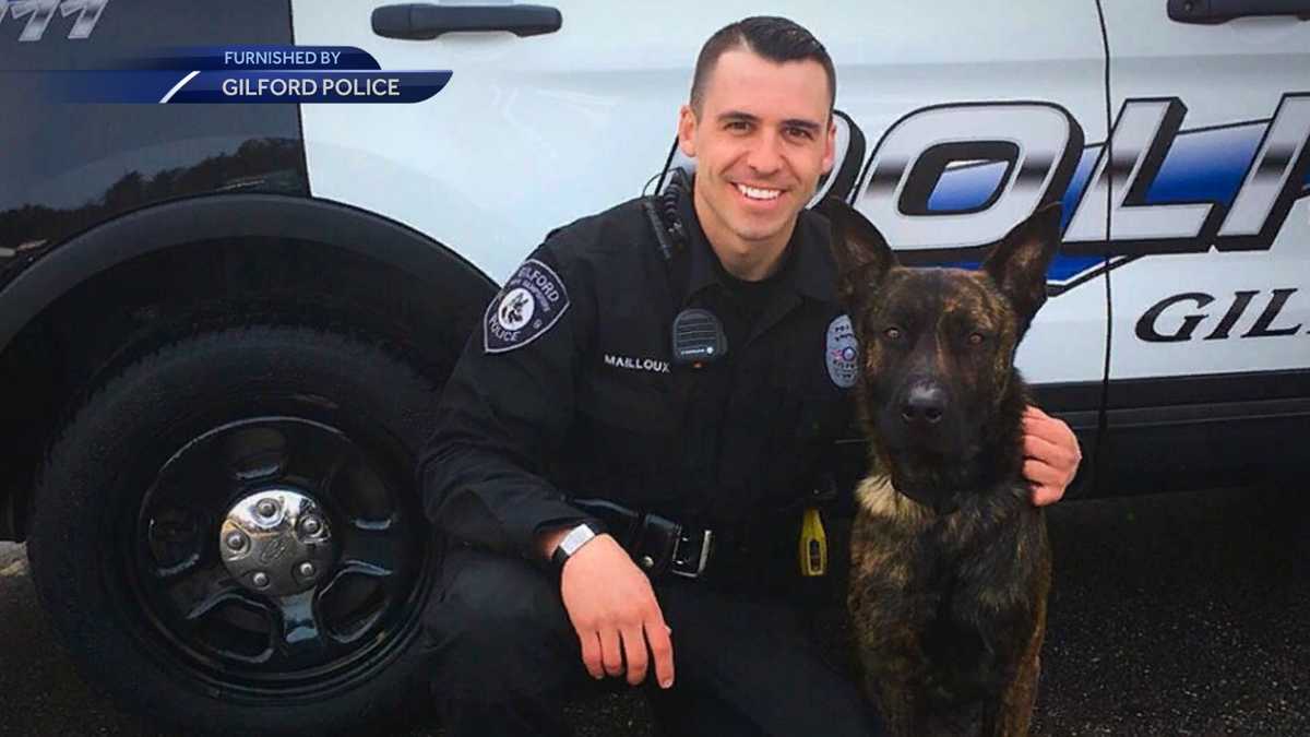 New Gilford police K-9 arrives from the Netherlands