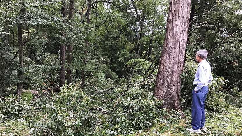 Photos: Hurricane Irma blunders Georgia, South Carolina