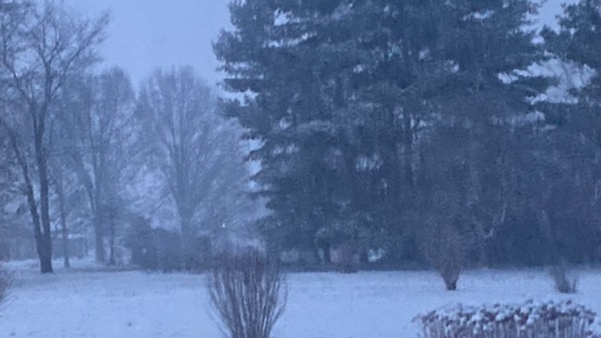 PHOTOS: Areas around Cincinnati see light snowfall Saturday