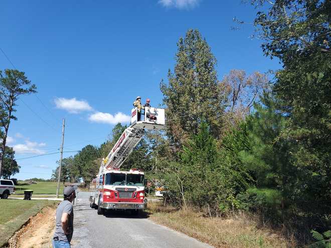 Firefighters rescue Alabama teen and her cat