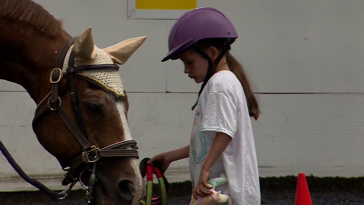 Mass. farm helping Boston Children's Hospital patients heal