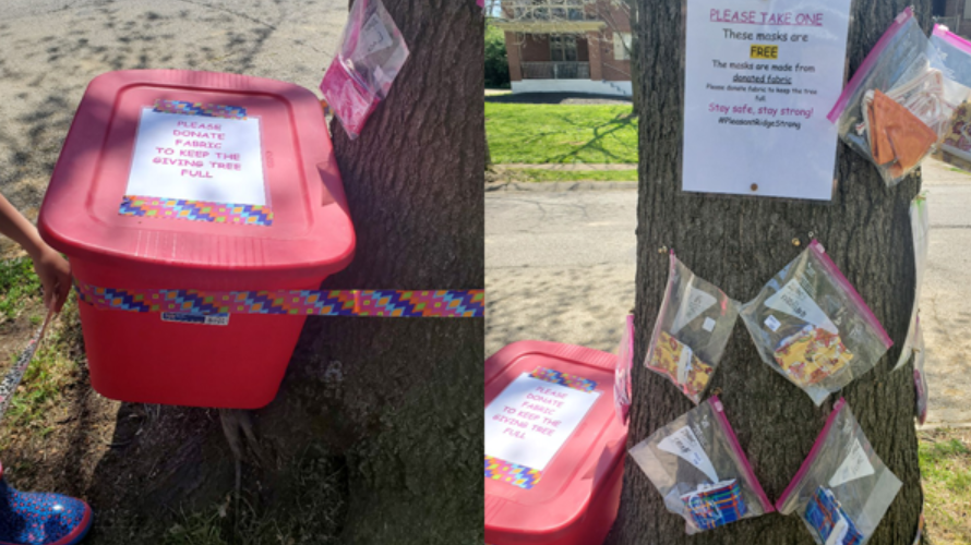 Woman creates 'The Giving Tree' in Pleasant Ridge to donate masks to ...