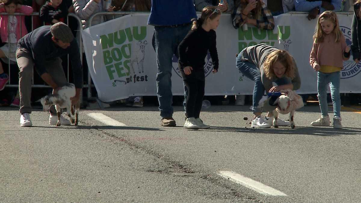 WATCH: Goat racing at NuLu Bock Fest picks Louisville Elite 8 winner