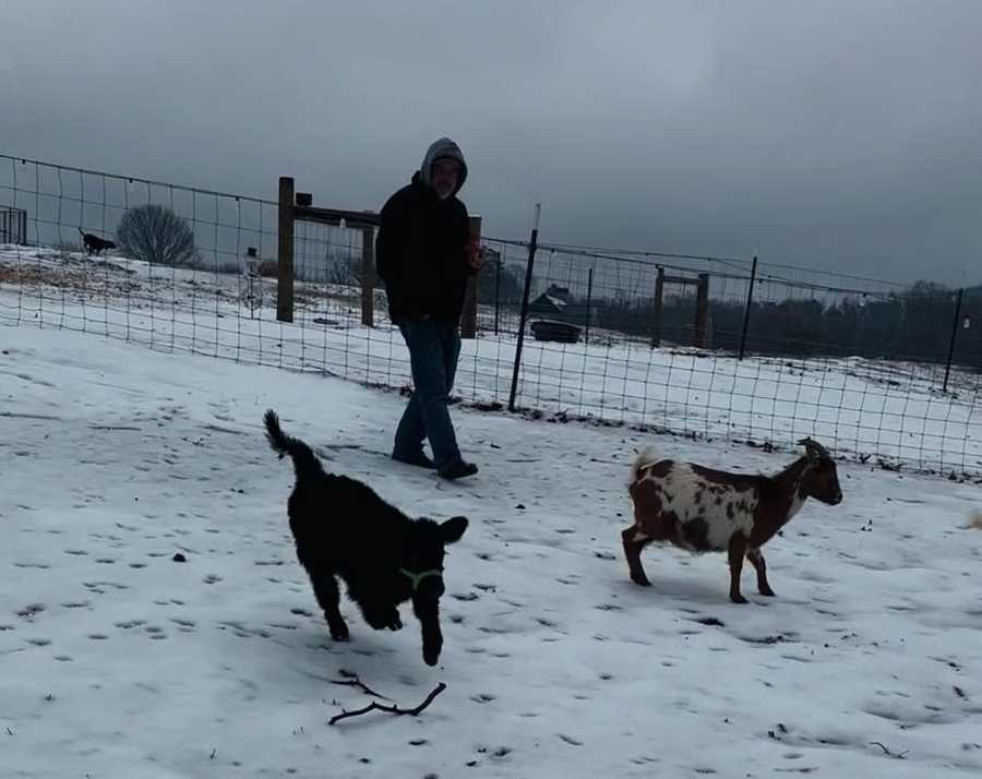 Pictures of the snow in the Upstate, Georgia, North Carolina