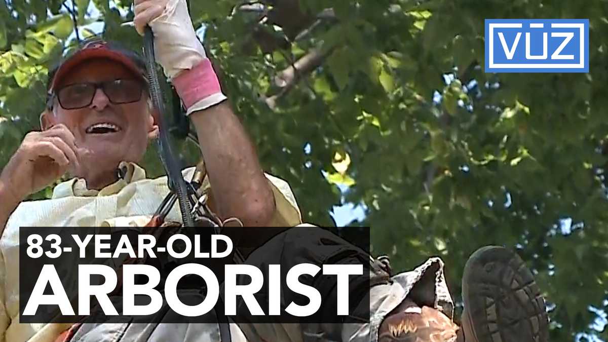 Arborist still climbing trees at 83!