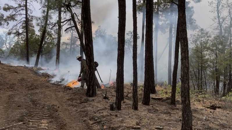 Gila National Forest will take over managing Goose Fire