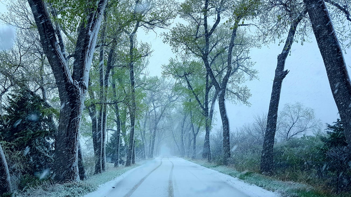 PHOTOS: Snow sweeps through parts of Nebraska