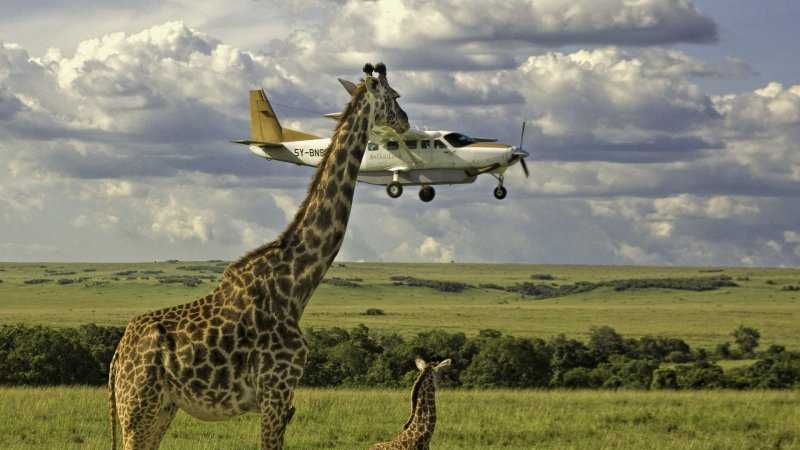 The most hilarious animal photos of the year