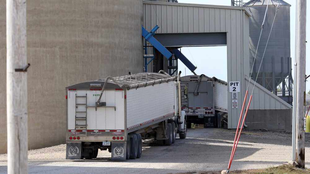 Hansen-Mueller bankruptcy: Iowa farmers have 120 days to file indemnity ...