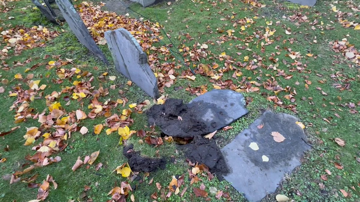 Man Accused In Overnight Boston Vandalism Spree