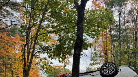 Gray man killed in rollover crash