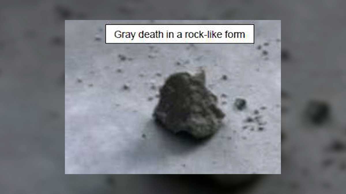 Gray Death: New deadly opioid surfaces in Alabama, authorities call it ...