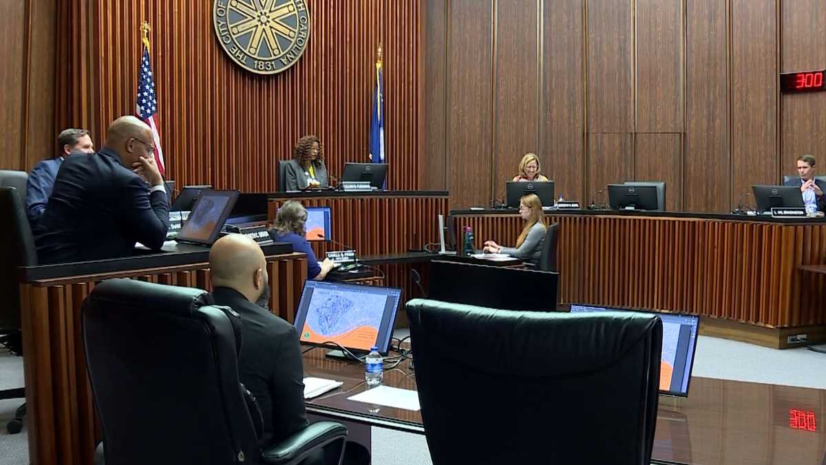 South Carolina: Greenville city council at-large race