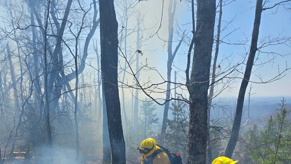How to help firefighters, officials battling Table Rock State Park fire