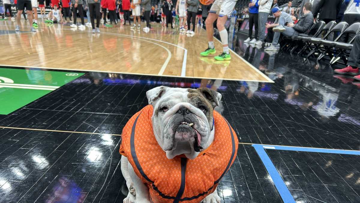 Griff benched by NCAA: Fans rally for Drake's beloved mascot to join ...