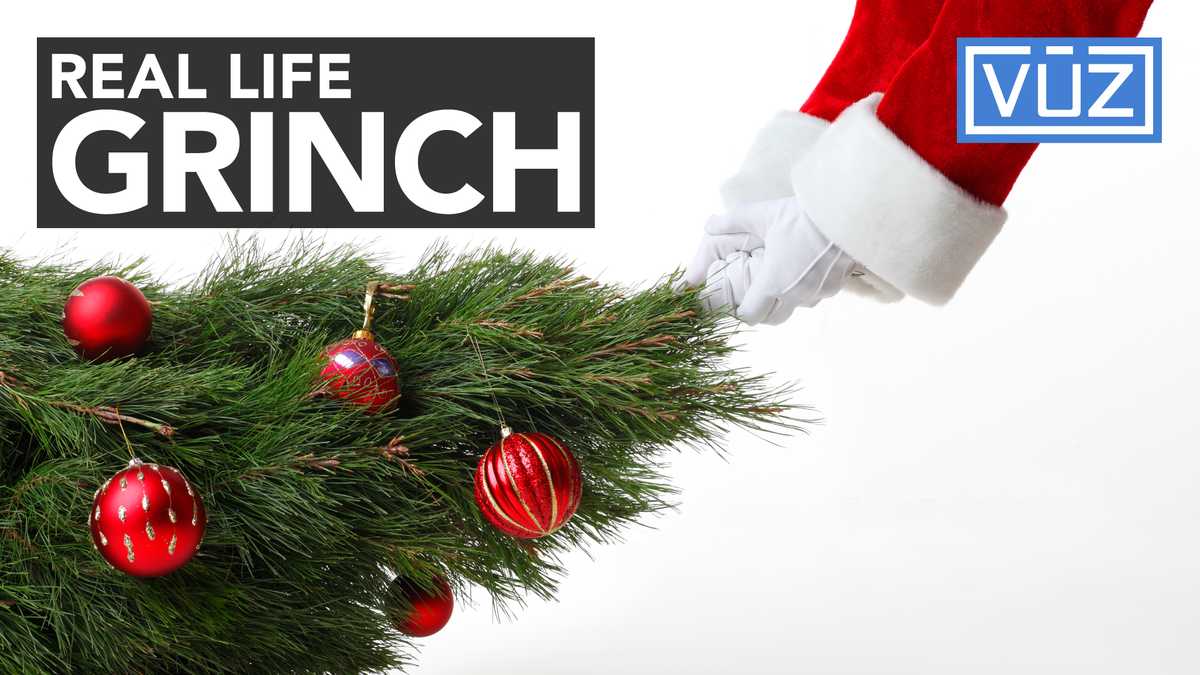 On camera: Grinch goes after trendy Christmas lights