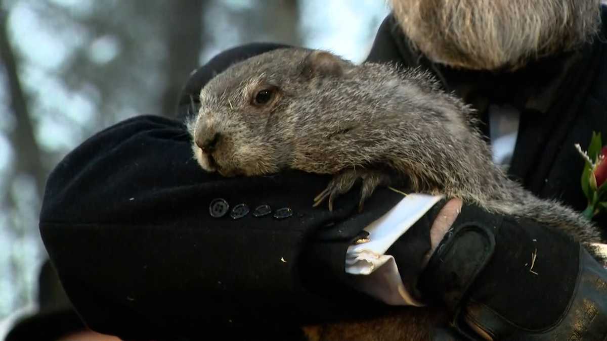 Groundhog Day 2026 Live: See Punxsutawney Phil's prediction