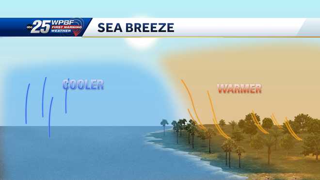 Florida's sea-breeze and how it forms