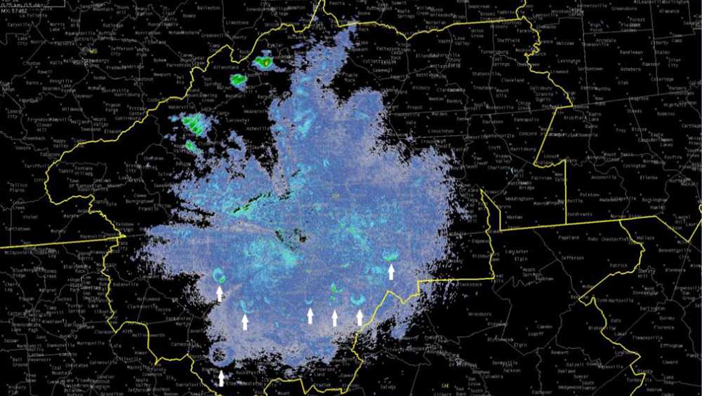NWS explains ‘weird things’ caught on radar at GSP