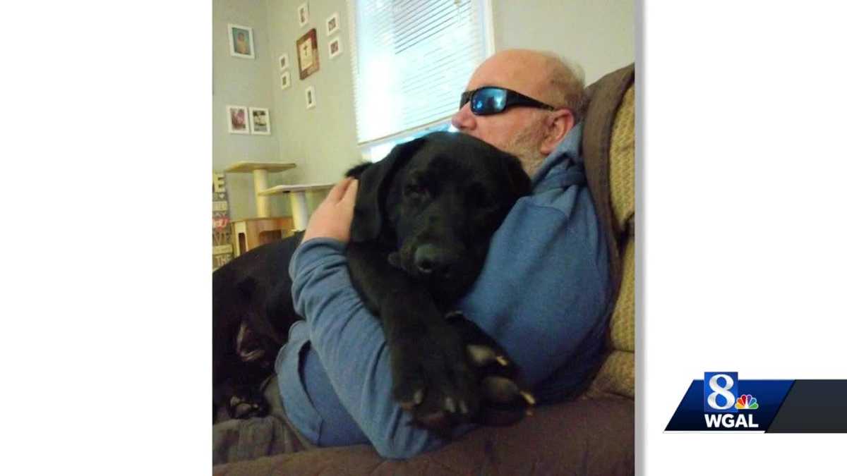 Dog changes the world for his handler