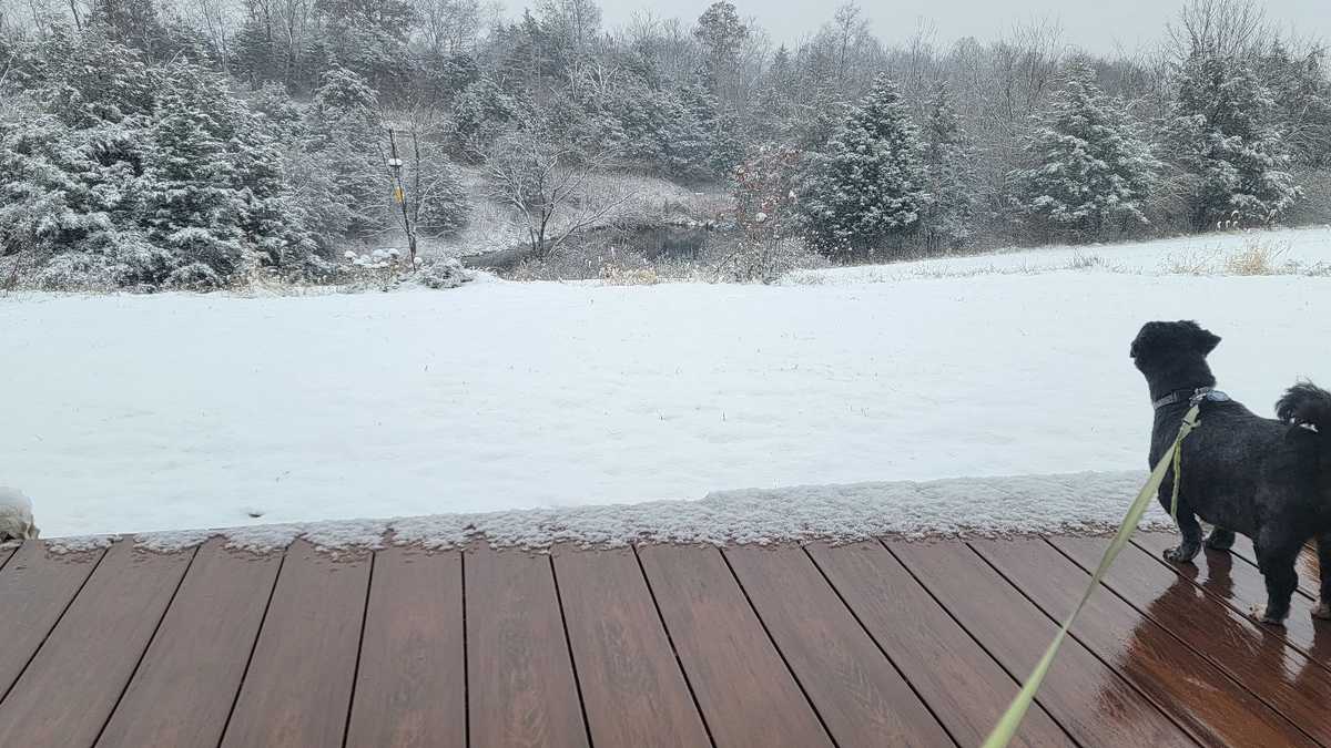 Gallery: Photos from around tristate area as Saturday snow continues